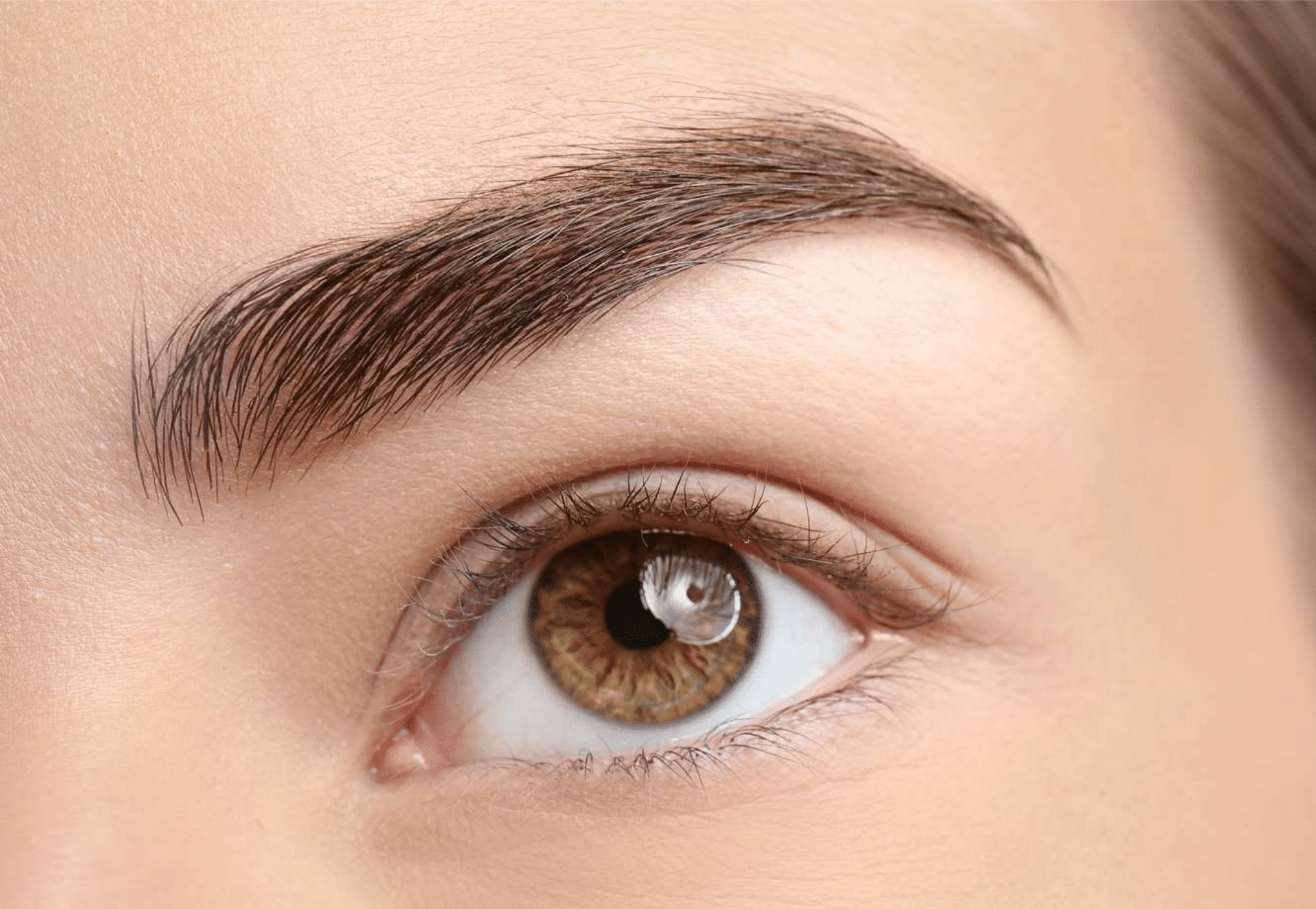 Eyebrow Transplantation Turkey Price 2024 - Doku Clinic